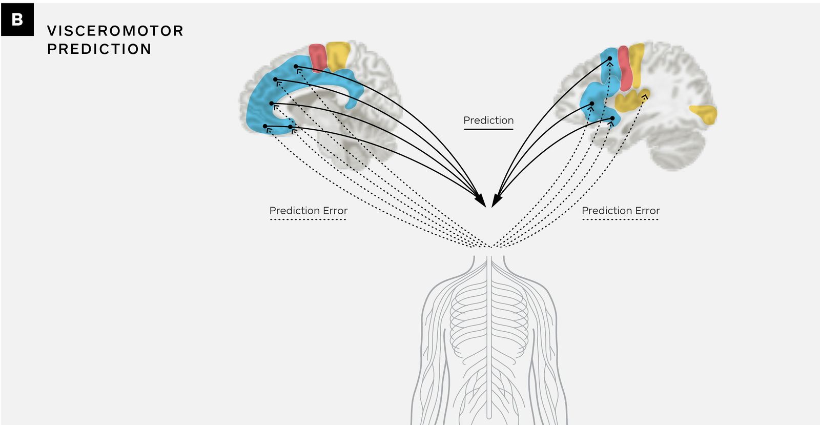 Motor vs. sensory predictions - How Emotions Are Made